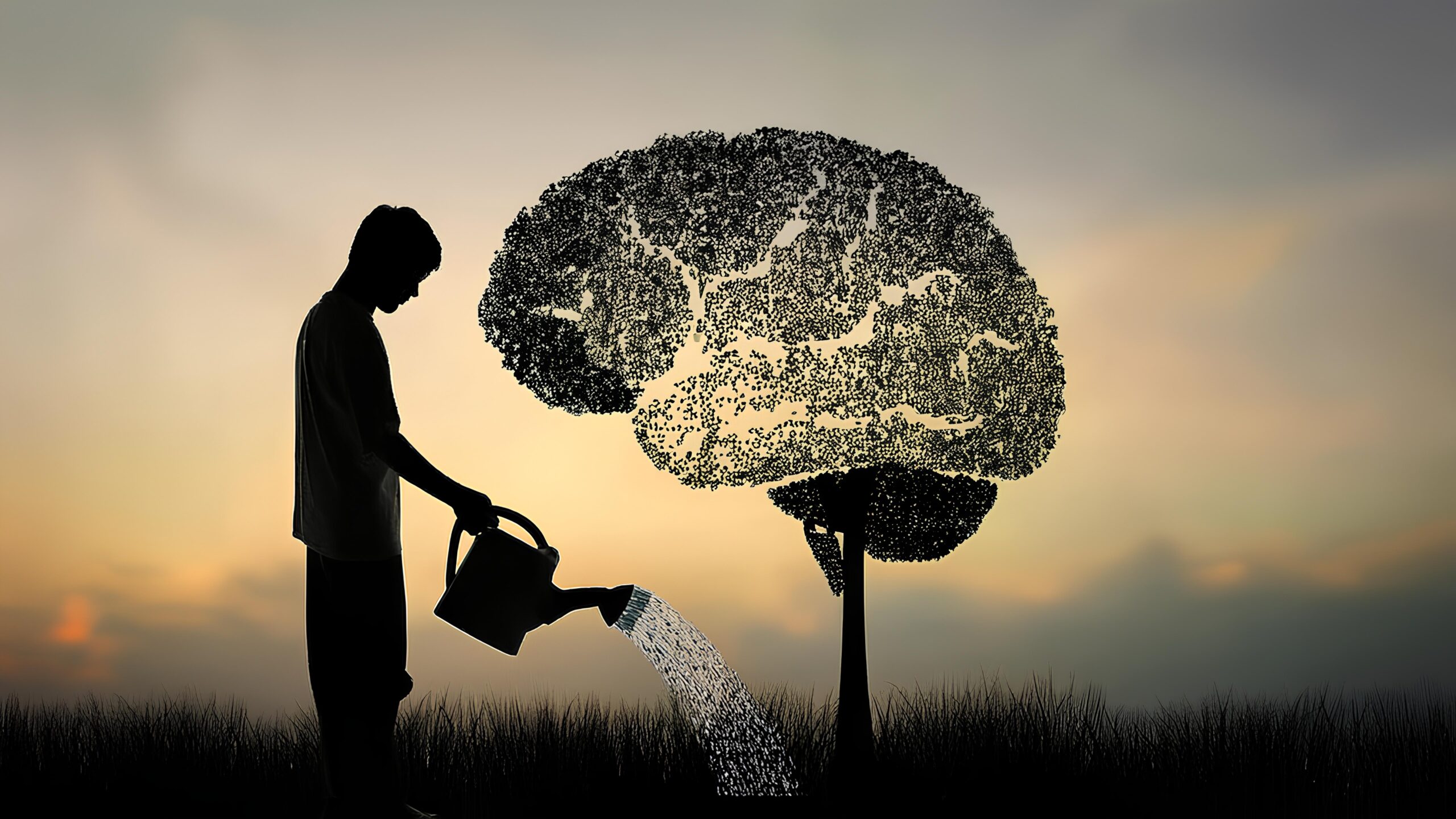 The Simple Mindset Shift That Changed Everything for Creators - Bidaya ...